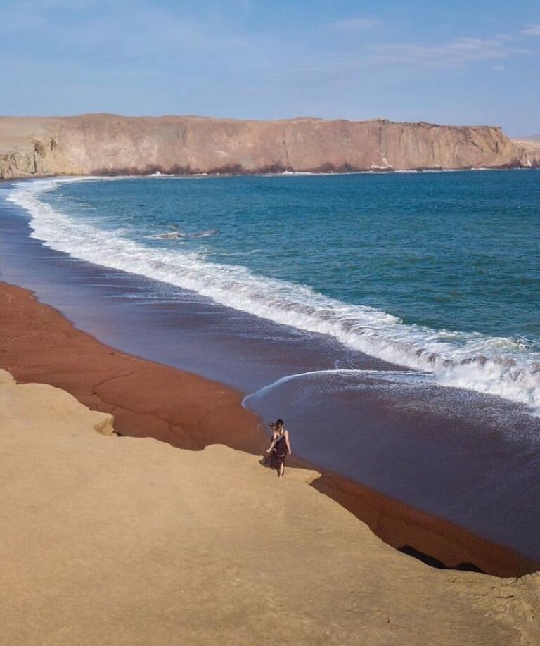 Paracas full day - Ballestas Islands and Paracas National Reserve ...