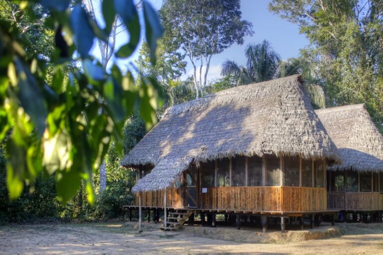 Manu National Park Reserved Zone 6 days - Pona lodge, Yanayacu lodge ...
