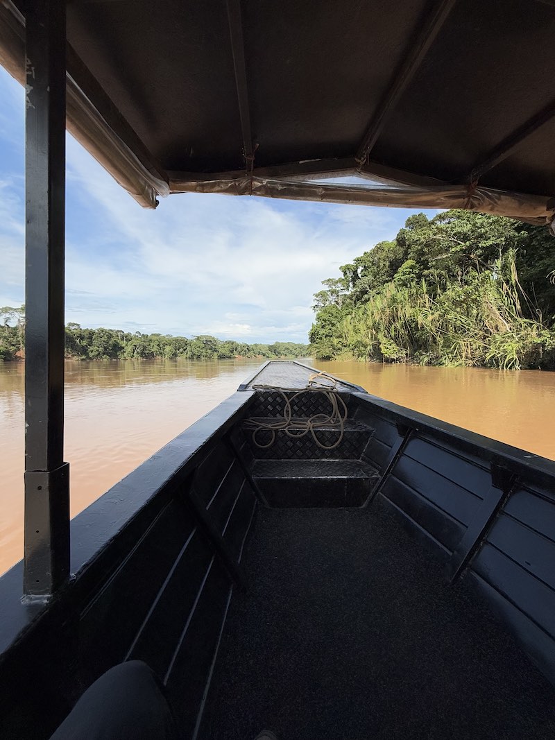 Amazon jungle tour - 4-day Tambopata National Reserve | Wander Free Peru