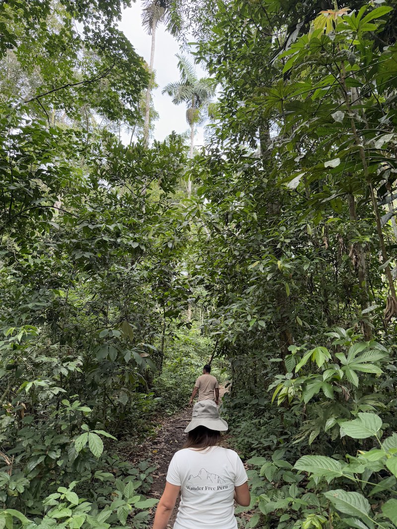 Amazon jungle tour - 4-day Tambopata National Reserve | Wander Free Peru